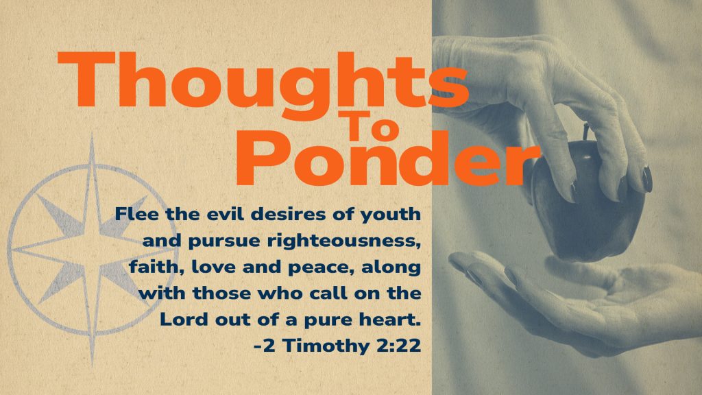 Thoughts To Ponder-2 Timothy 2:22 – Bethlehem Lutheran Church